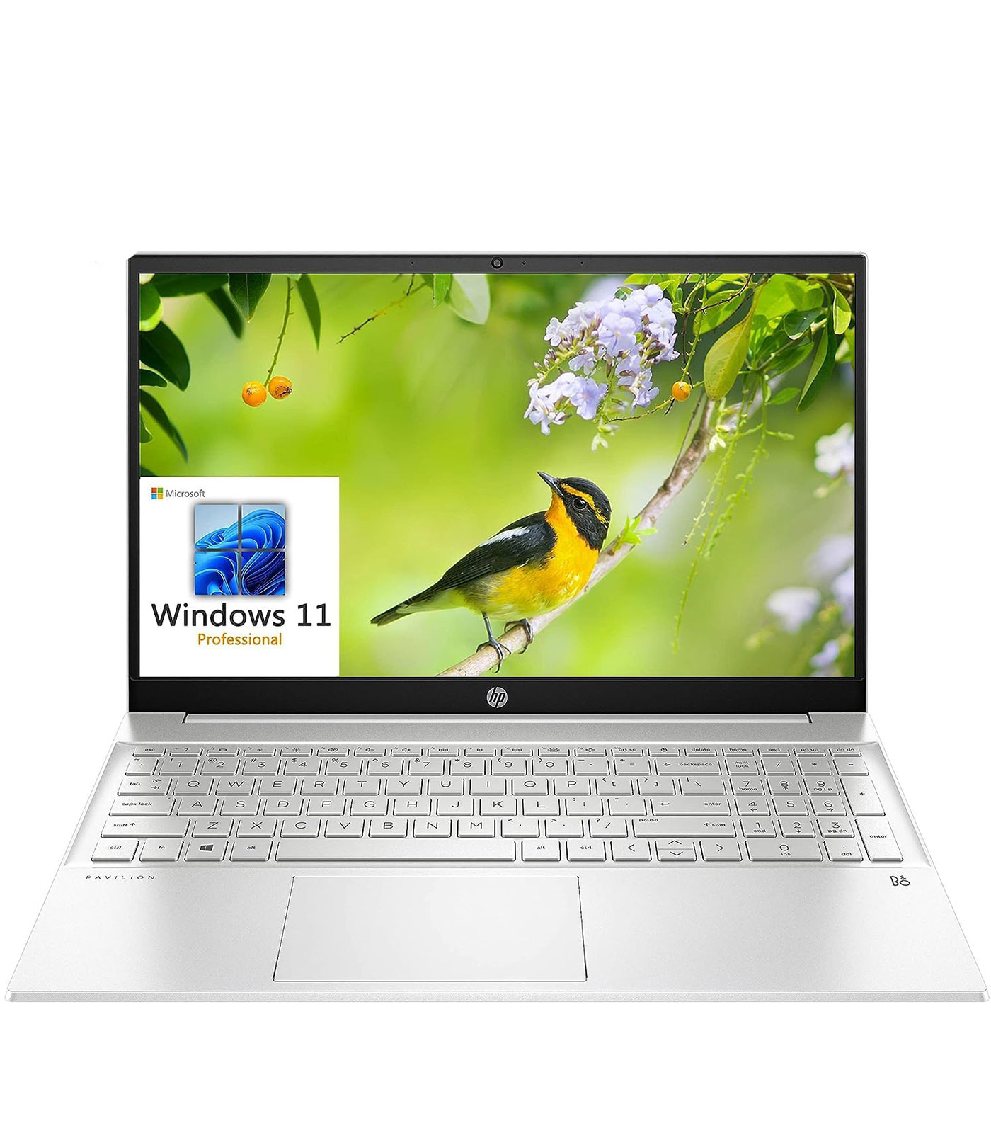 HP Pavilion: The Ultimate Laptop for Entrepreneurs in Pakistan